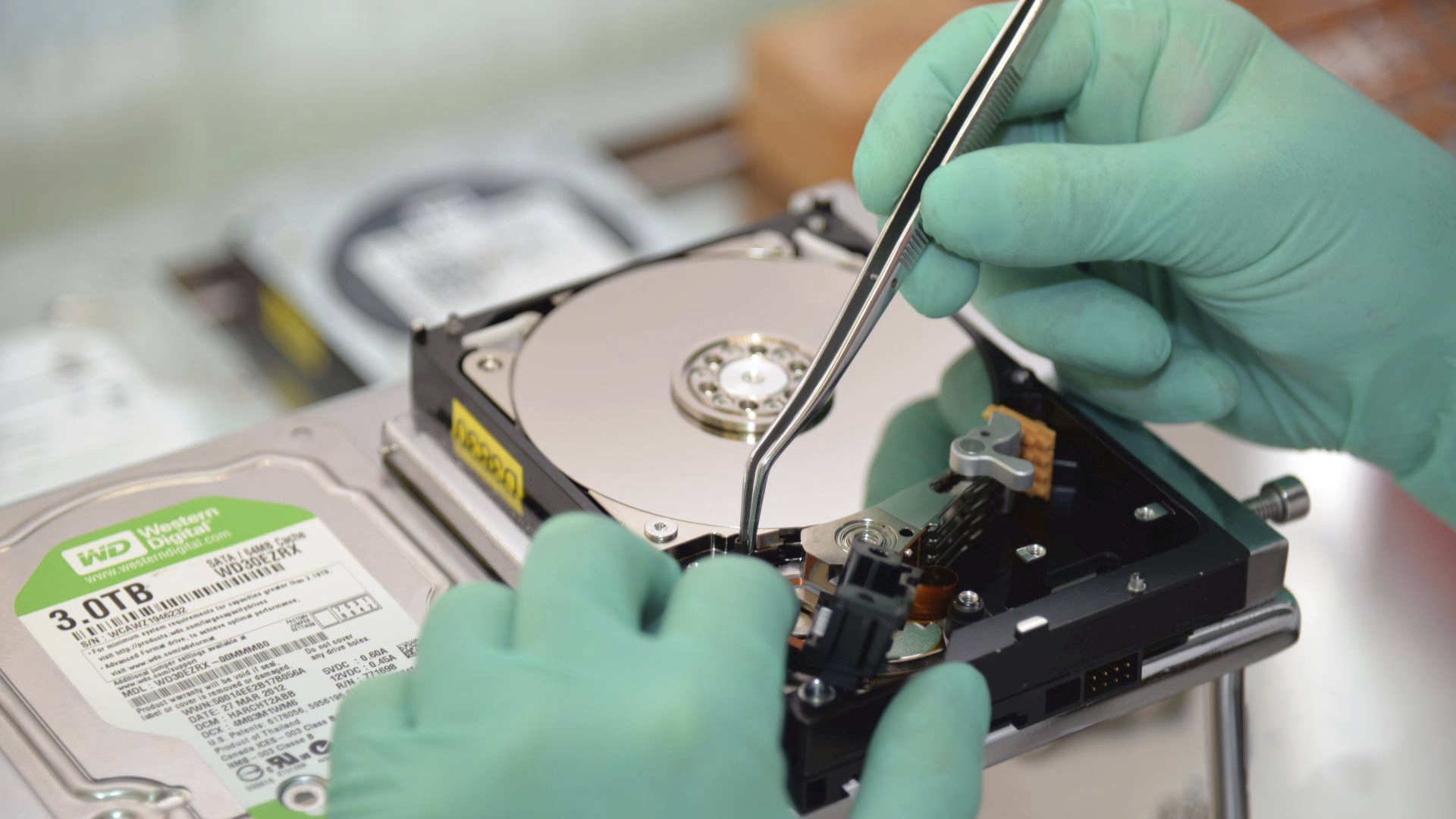 Recuperare poze șterse - exclusive 1